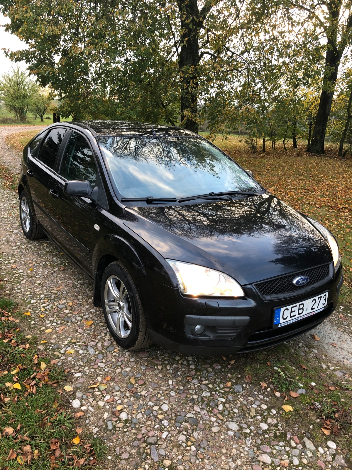 Ford Focus 2 generation Hatchback 5-doors | Autoa.lt